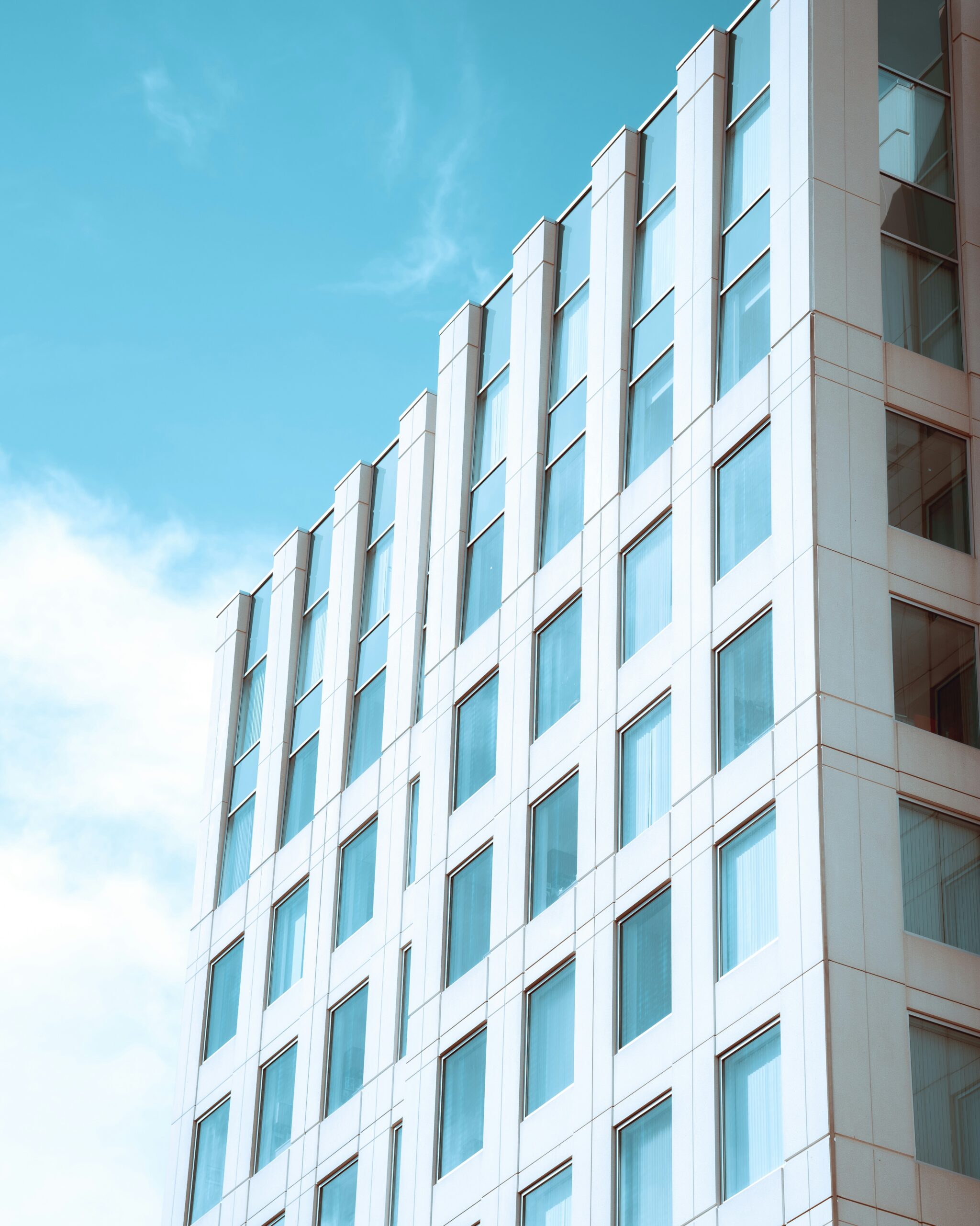 Invoice management and automation for businesses - Sedico